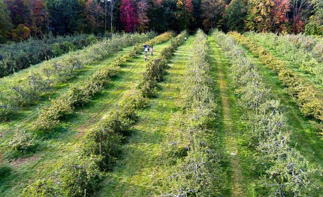 Reviews | Currier Orchards